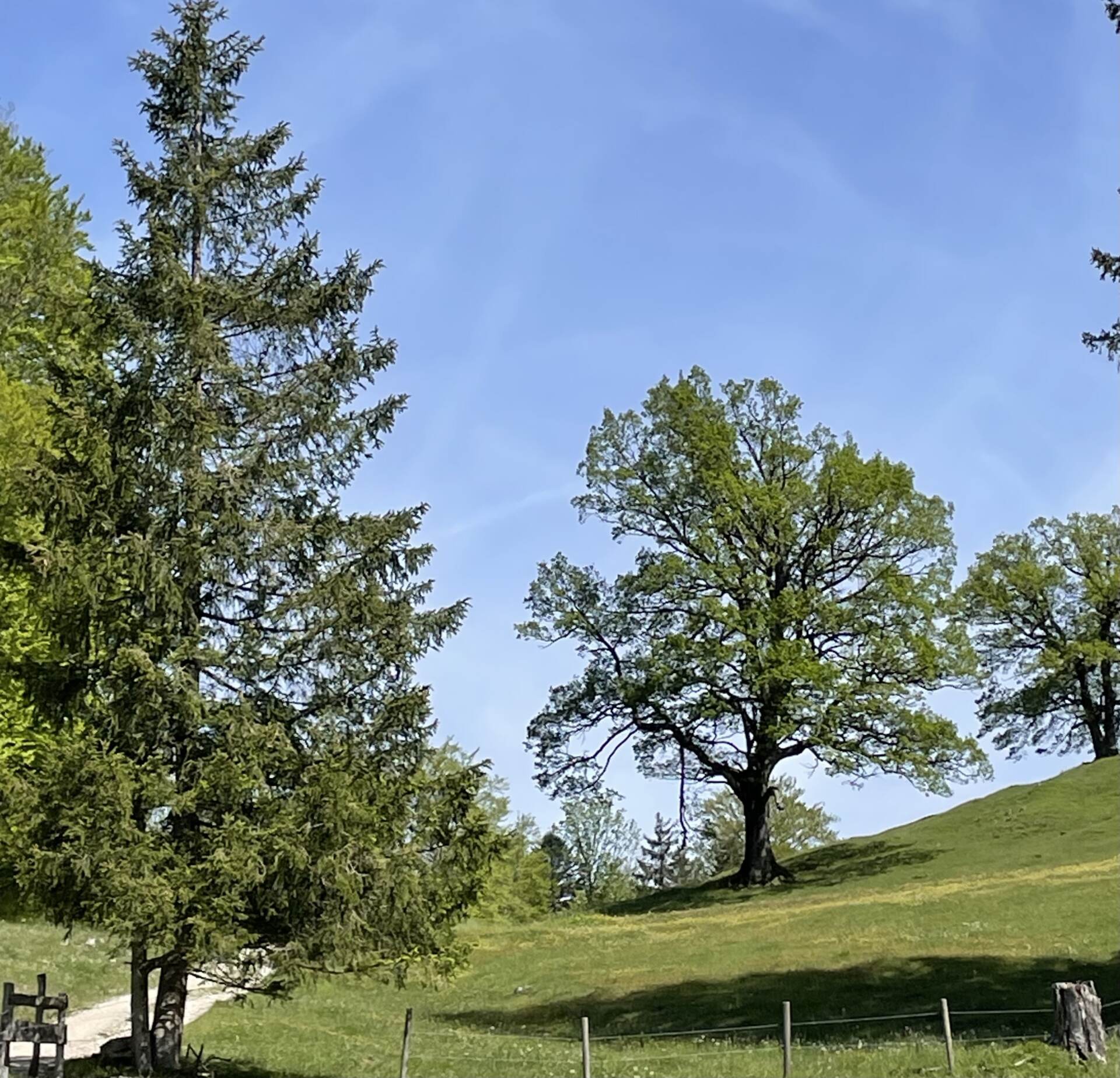 Taubenberg: eine gemütliche Wanderung – Verein Horizonte e.V.